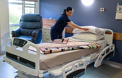 Bendigo Health Website - Our Organisation